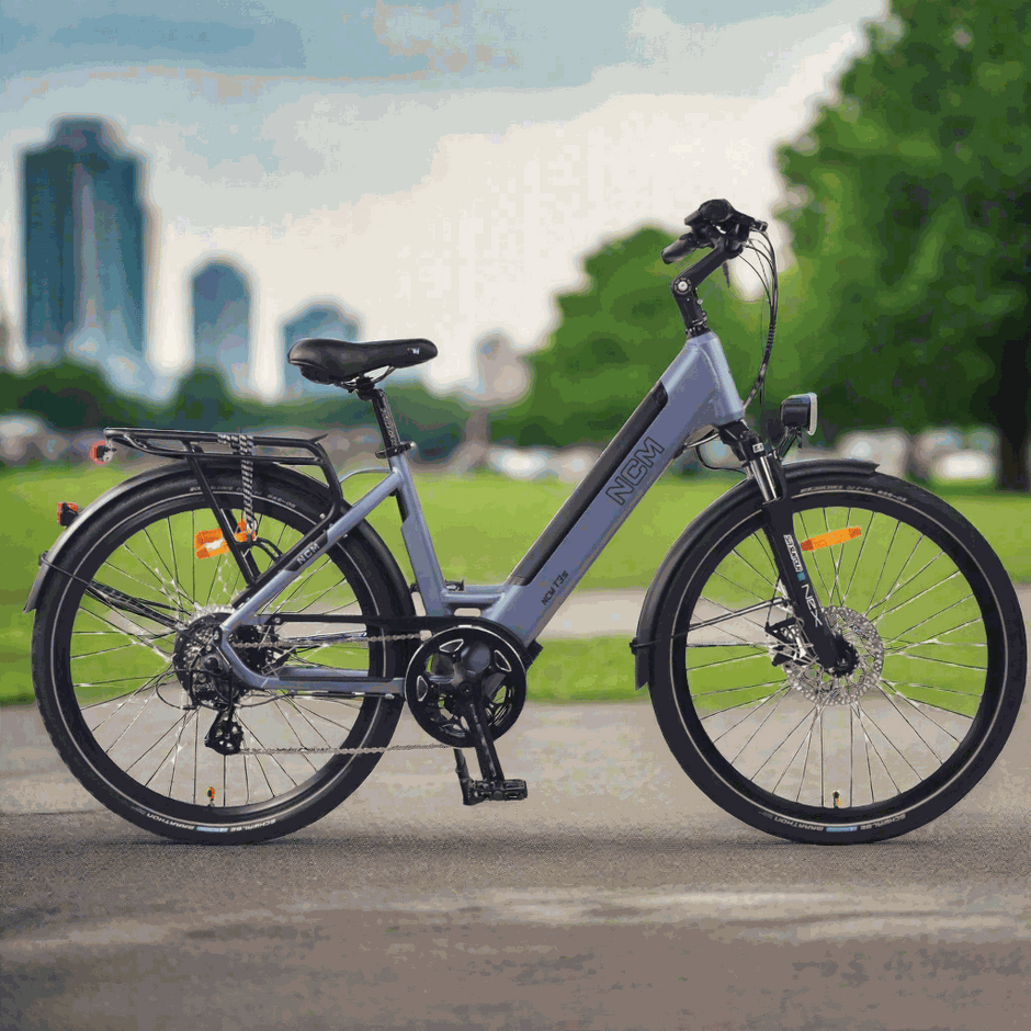 Electric Urban Bikes | South West Sydney – Macarthur e-Bikes